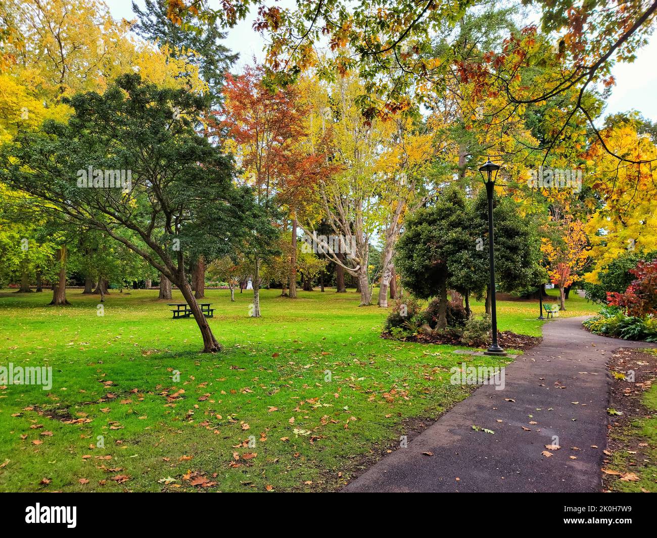 A fresh scenery of a colorful public park with autumn trees and fallen ...