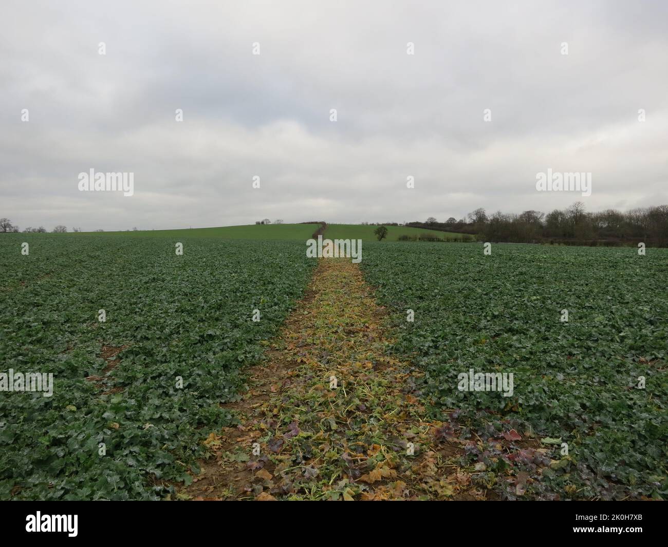 The Jurassic Way Long-distance trail. England. UK Stock Photo - Alamy