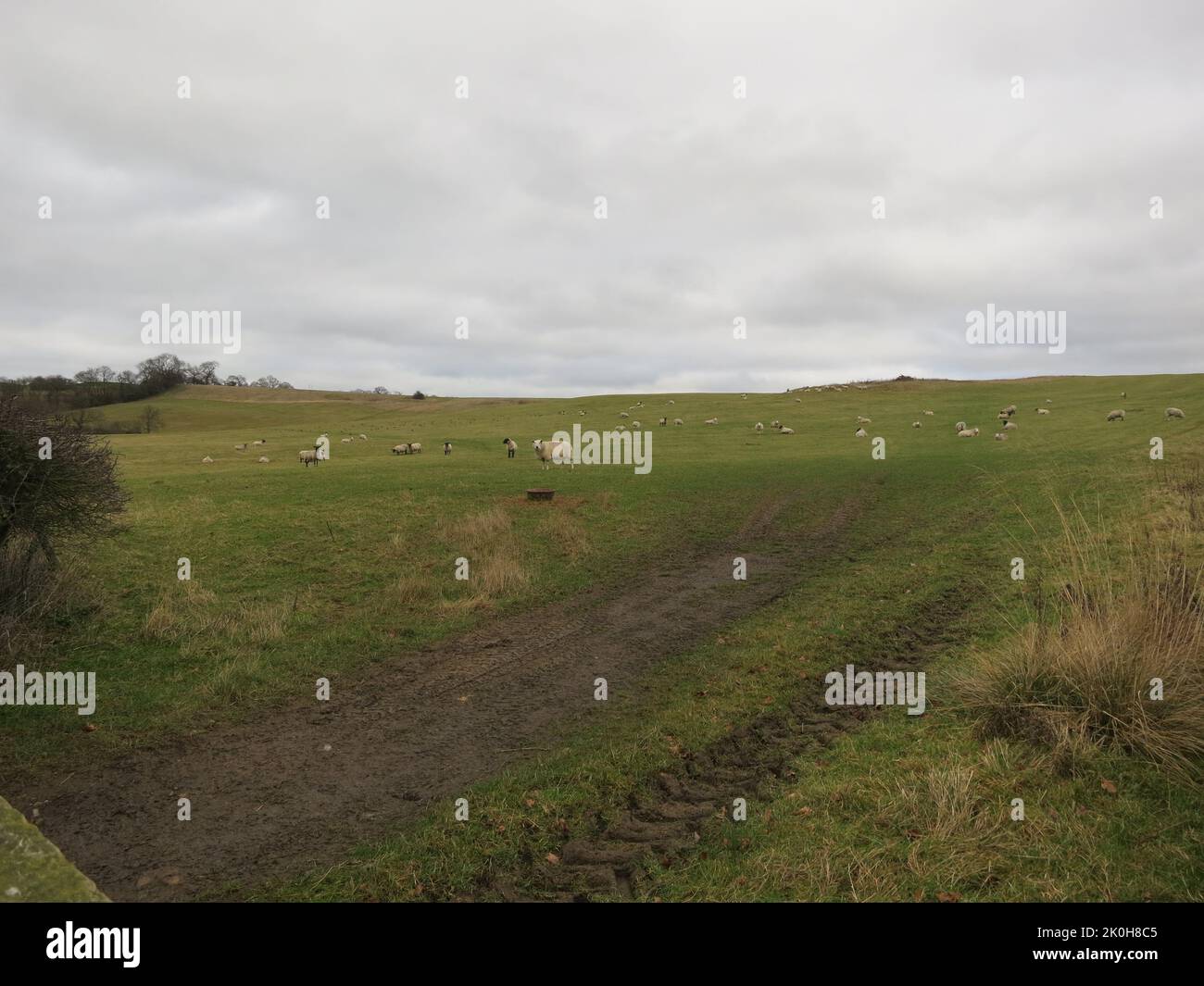 The Jurassic Way Long-distance trail. England. UK Stock Photo - Alamy
