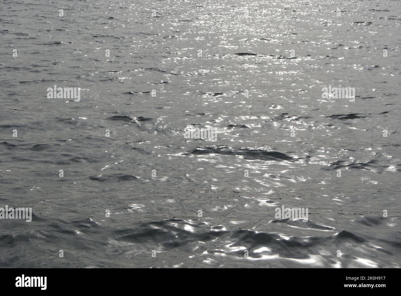 LE LAC DE VIRY CHATILLON,ESSONE,FRANCE Stock Photo - Alamy