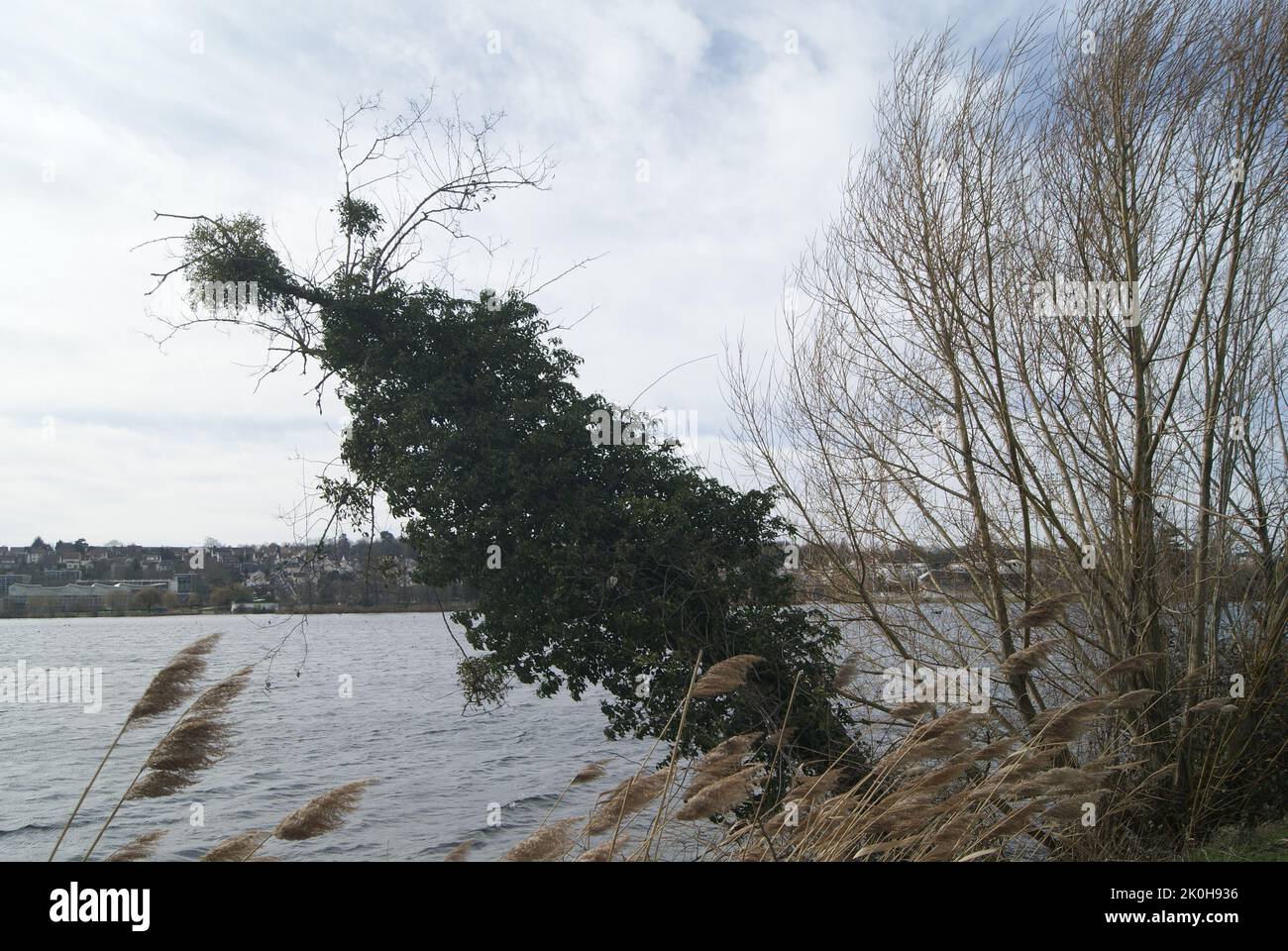 LE LAC DE VIRY CHATILLON,ESSONE,FRANCE Stock Photo - Alamy
