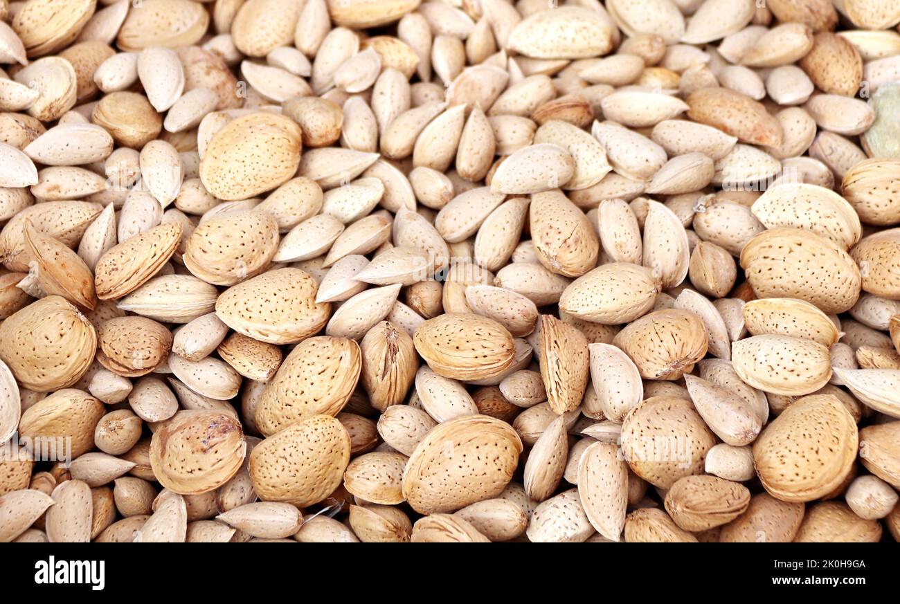 Almond nut full horizontal background. Top view unpeeled almond nuts in ...