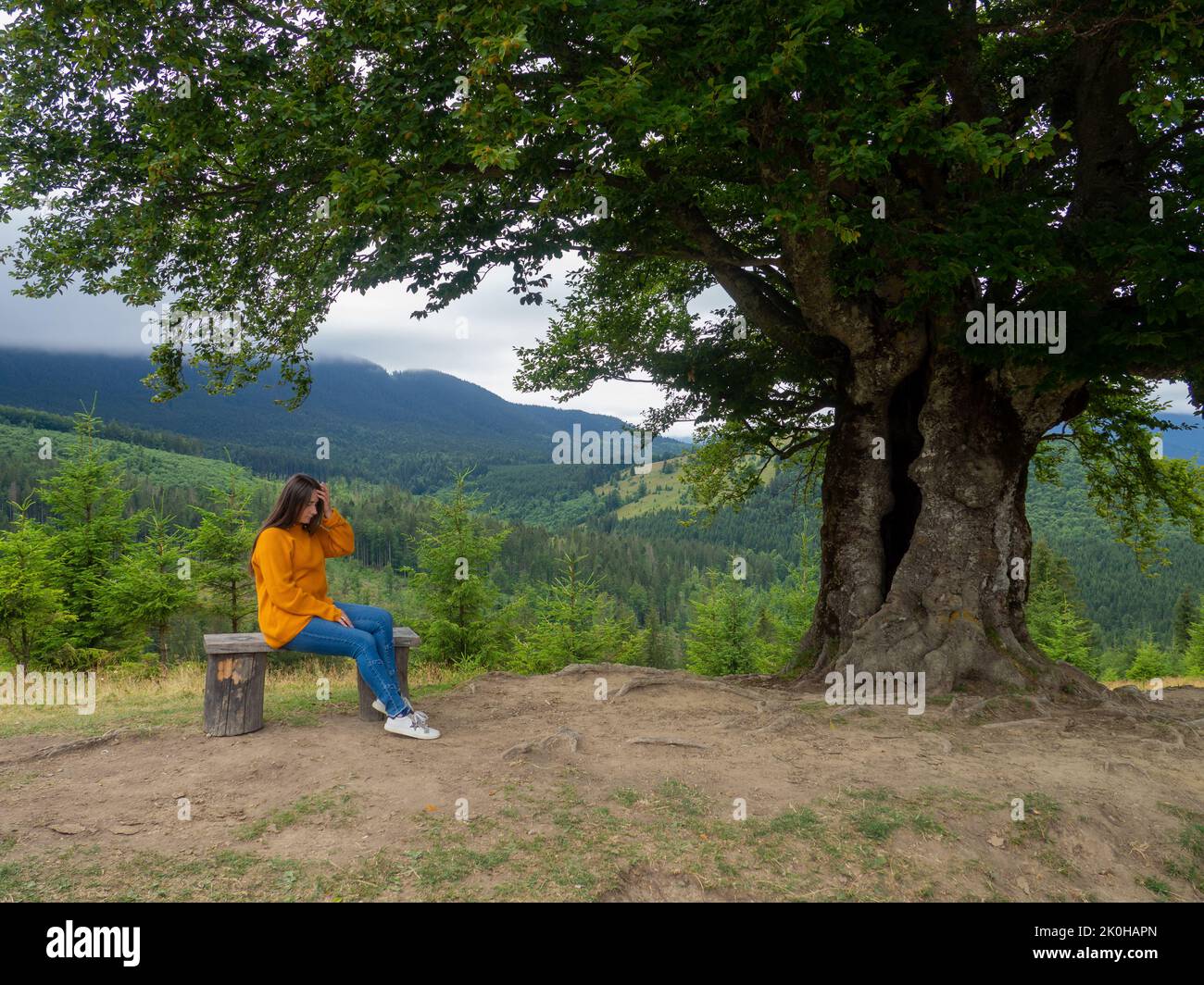 Female in casual clothes sits under large tree with forest background ...