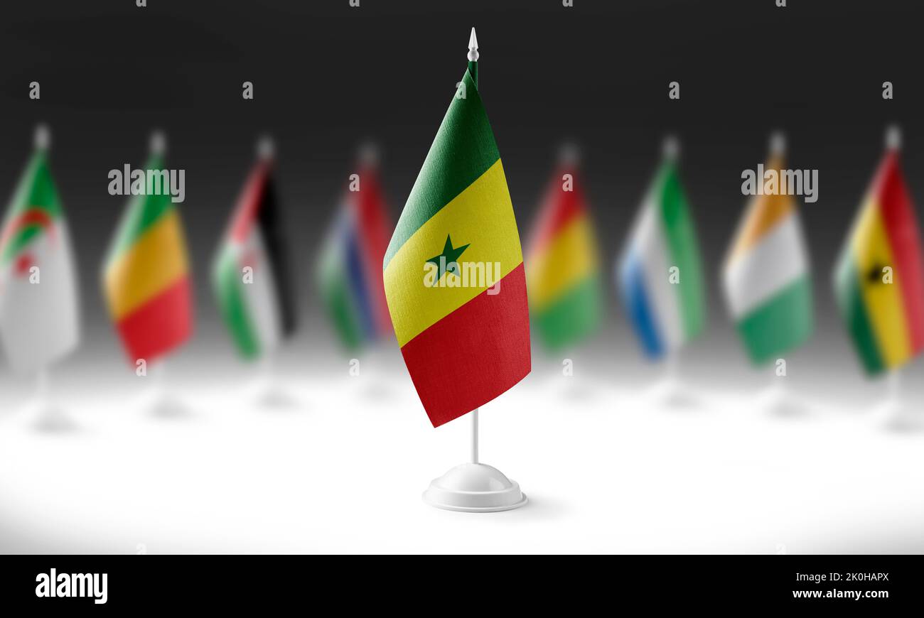 The national flag of the Senegal on the background of flags of other ...