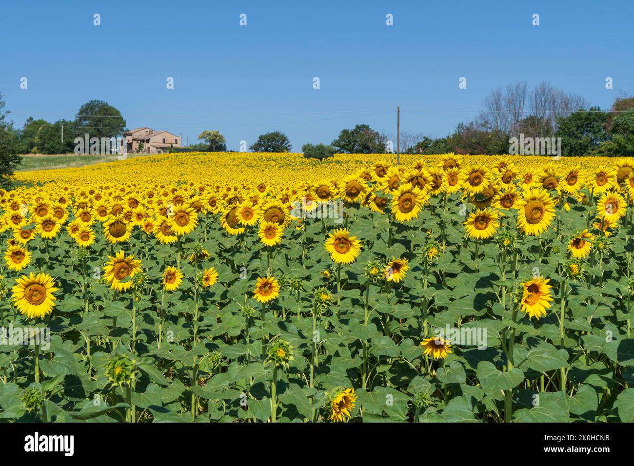 Pollenza italy hi-res stock photography and images - Alamy