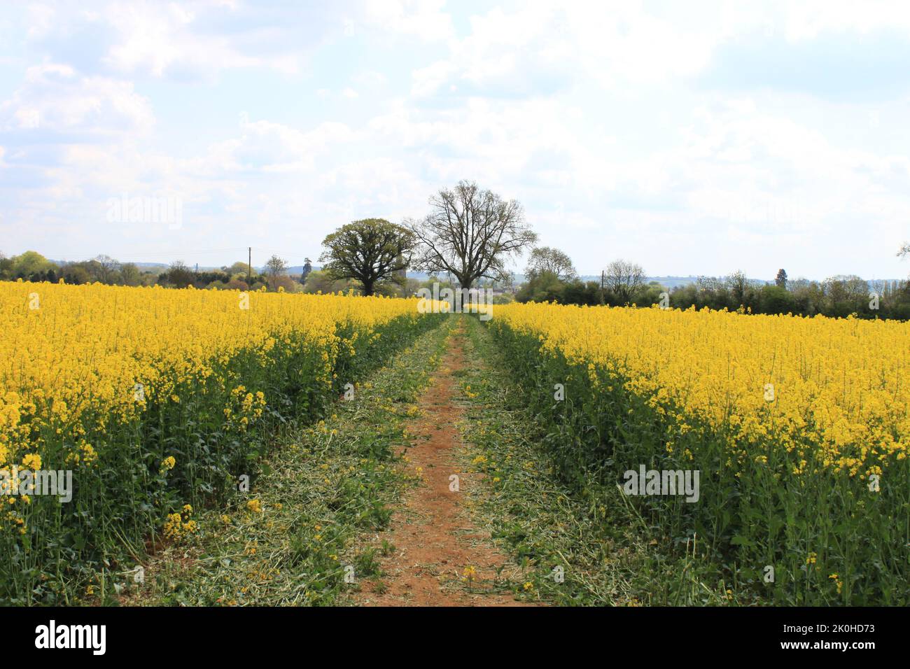 The Jurassic Way Long-distance trail. England. UK Stock Photo - Alamy