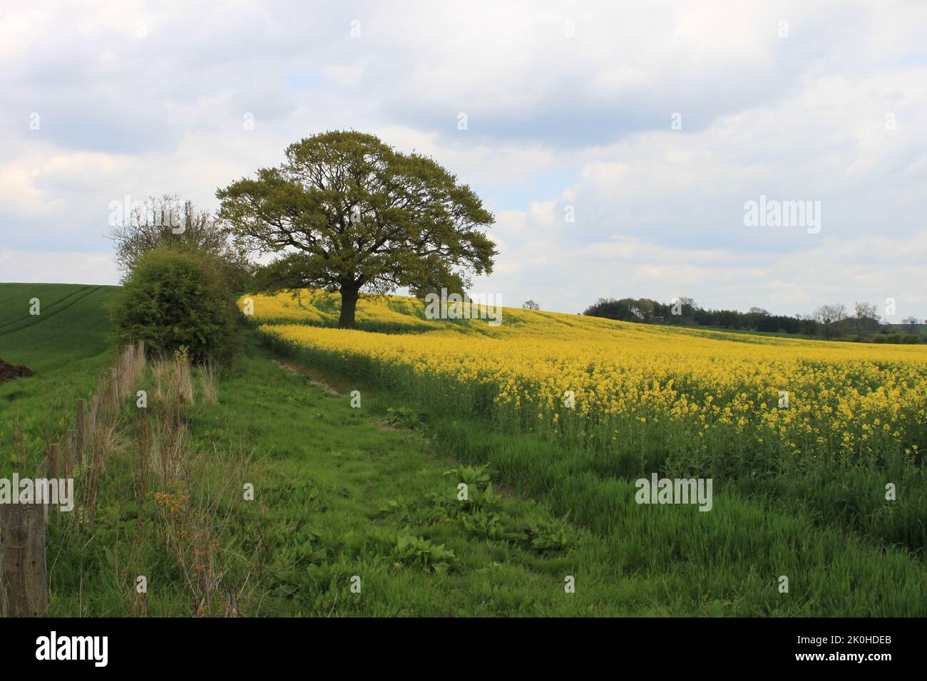 The Jurassic Way Long-distance trail. England. UK Stock Photo - Alamy