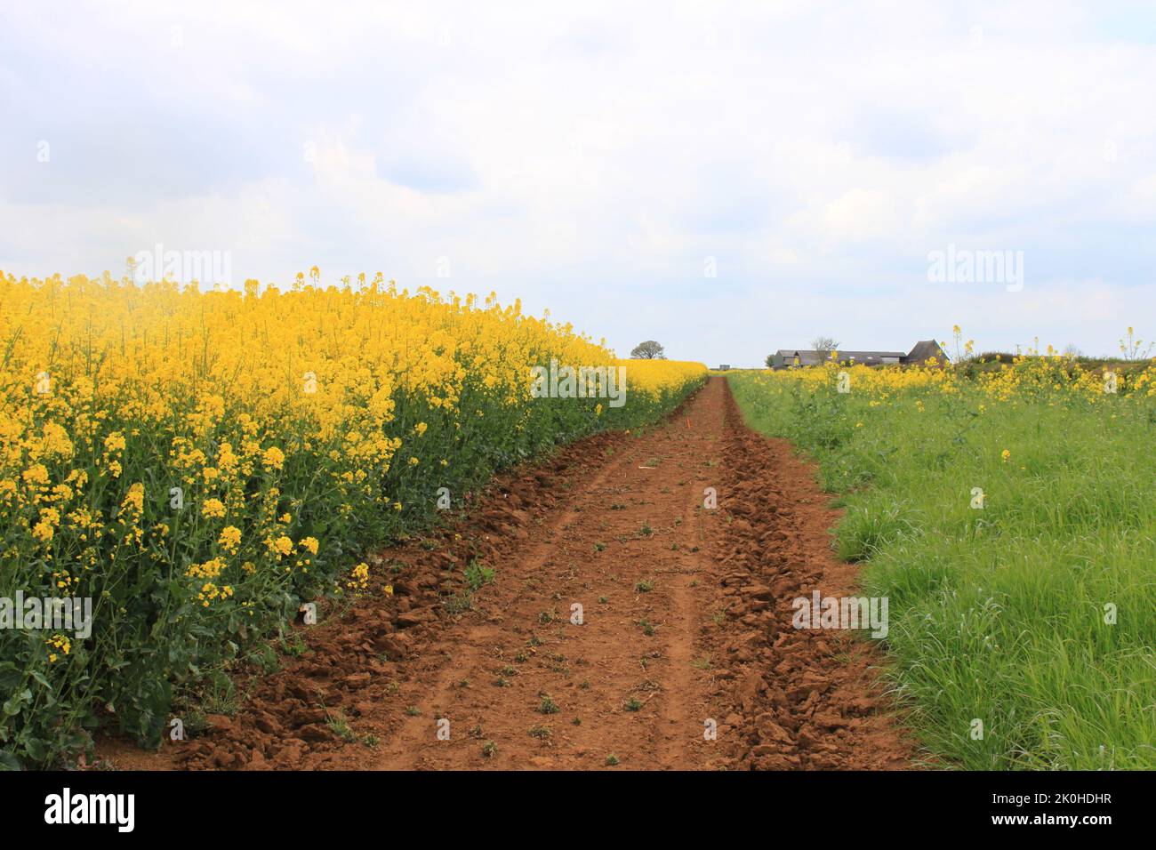 The Jurassic Way Long-distance trail. England. UK Stock Photo - Alamy
