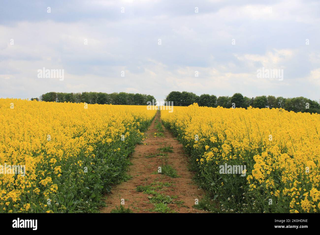 The Jurassic Way Long-distance trail. England. UK Stock Photo - Alamy