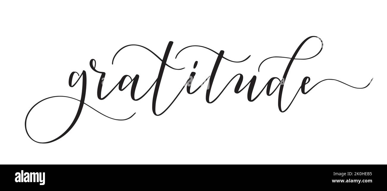 Gratitude cute modern calligraphy design Stock Vector Image & Art - Alamy