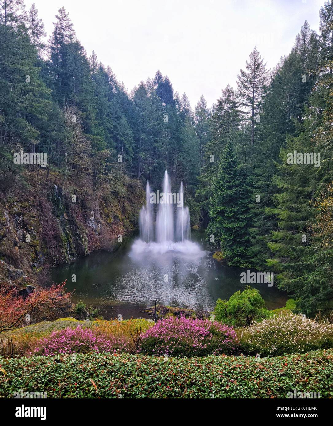 A natural view of water fountain surrounded by trees and beautiful ...