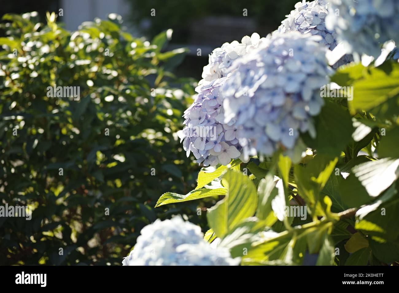 Pennymac hi-res stock photography and images - Alamy