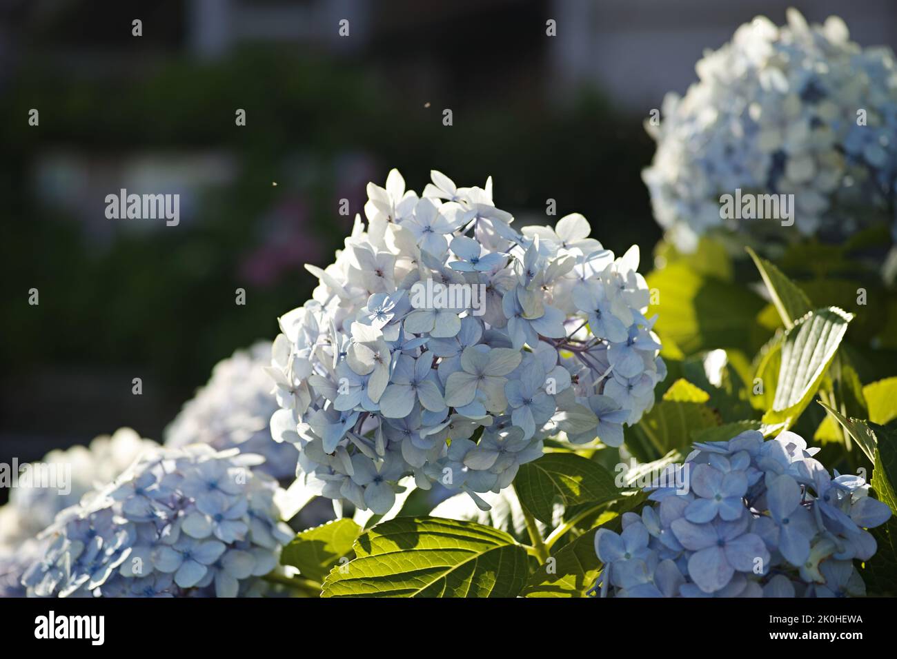 Pennymac hi-res stock photography and images - Alamy