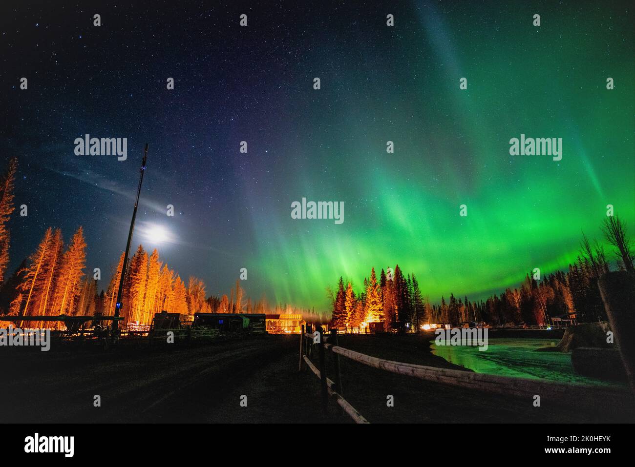Aurora over trees hi-res stock photography and images - Alamy