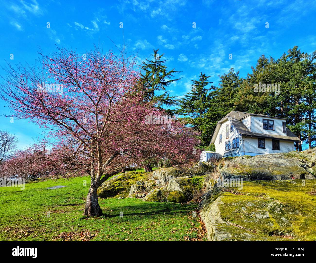 A cozy rural house surrounded by trees Stock Photo - Alamy