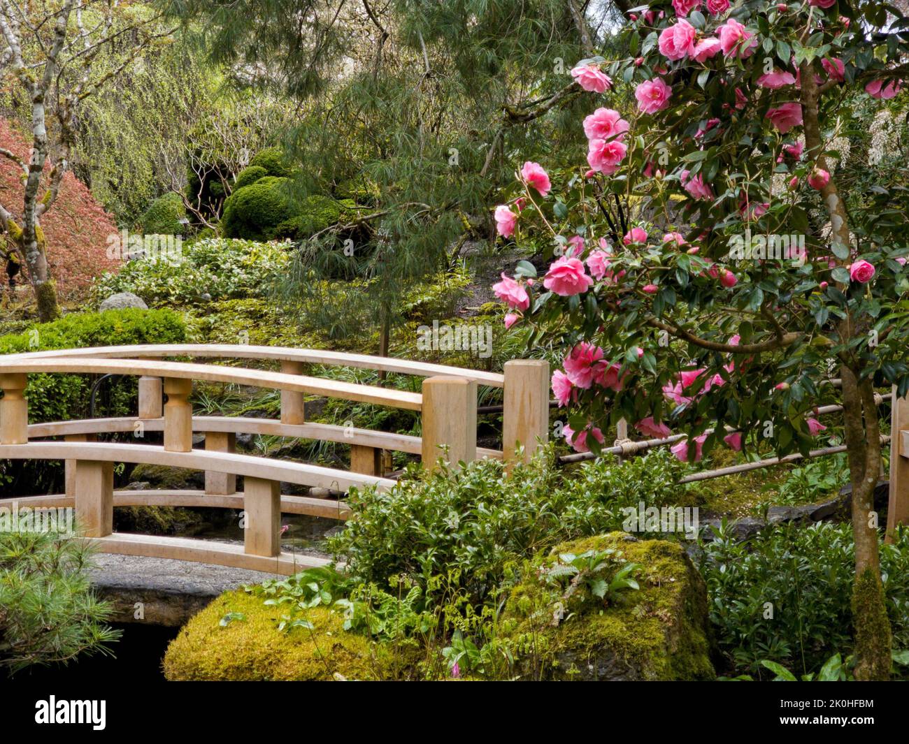 A bridge with different colorful flowers in the garden Stock Photo - Alamy