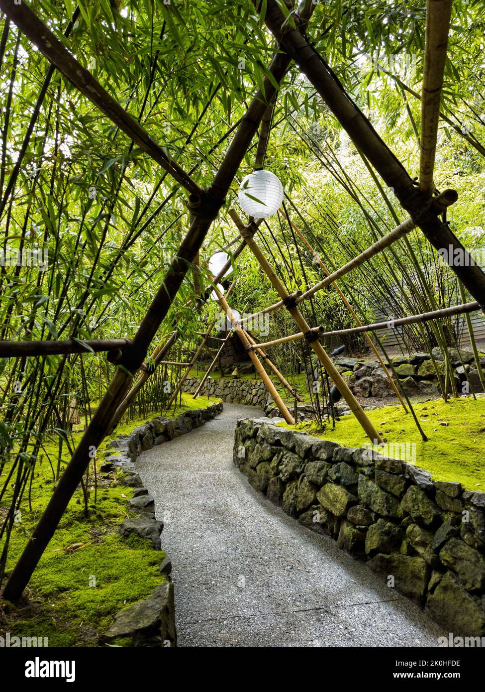 A pathway in the garden with with trees on the side Stock Photo - Alamy