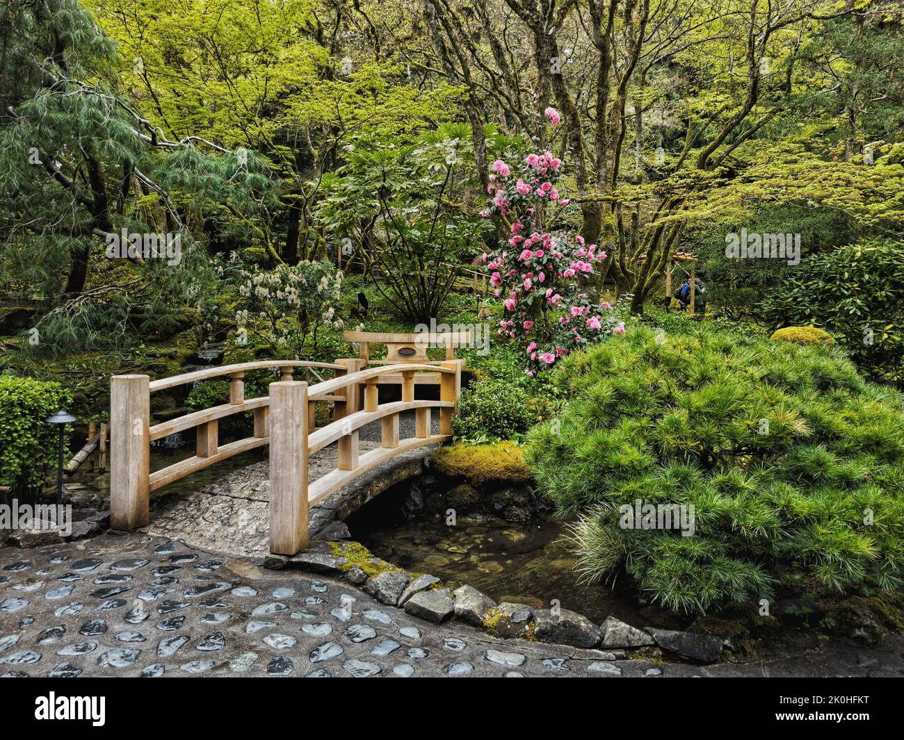 A bridge with different colorful flowers in the garden Stock Photo - Alamy