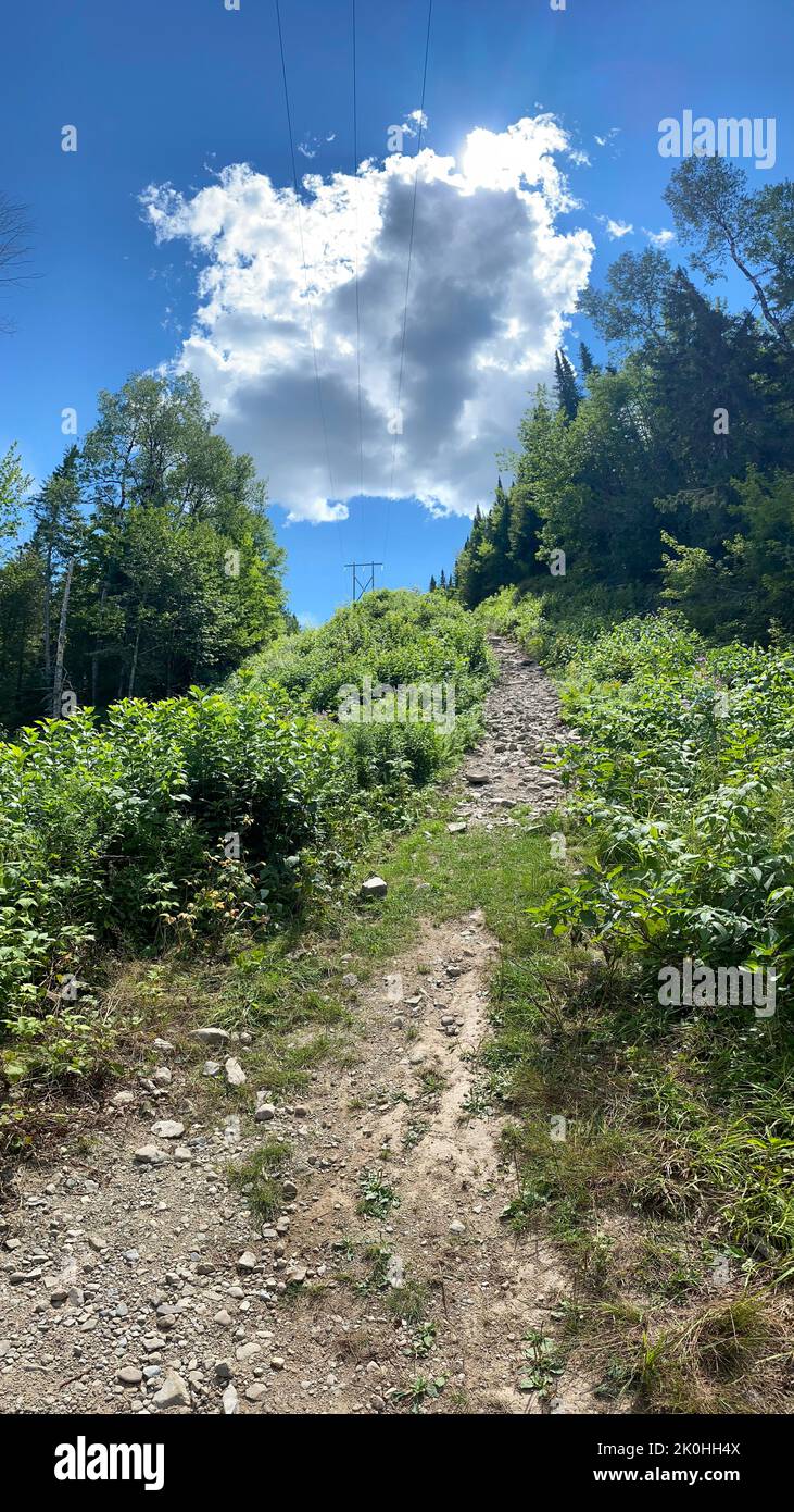 A vertical shot of a dirt trail going up on a sloping ground Stock ...