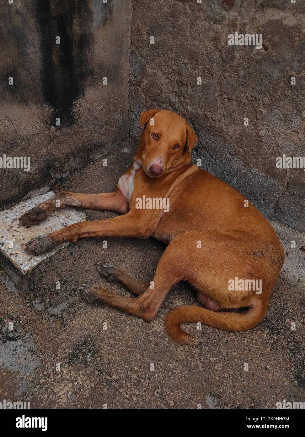 Viramgam hi-res stock photography and images - Alamy