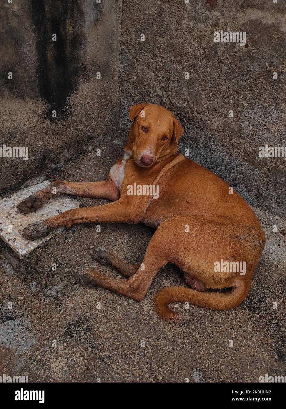 Viramgam hi-res stock photography and images - Alamy