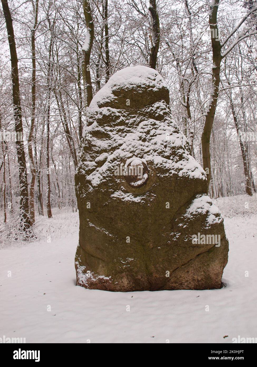 A vertical shot of a large stone covered by snow with deciduous trees ...