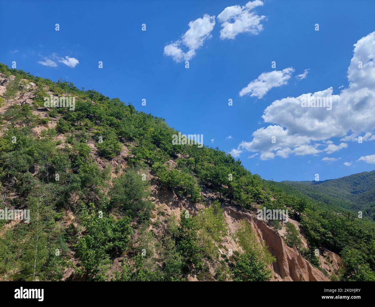 A rocky formation covered by lush green trees on a sunny day Stock ...
