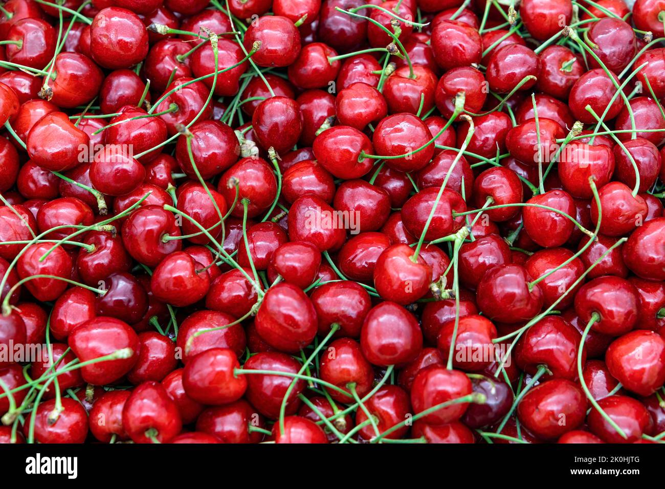 A closeup of a pile of red juicy cherries Stock Photo - Alamy