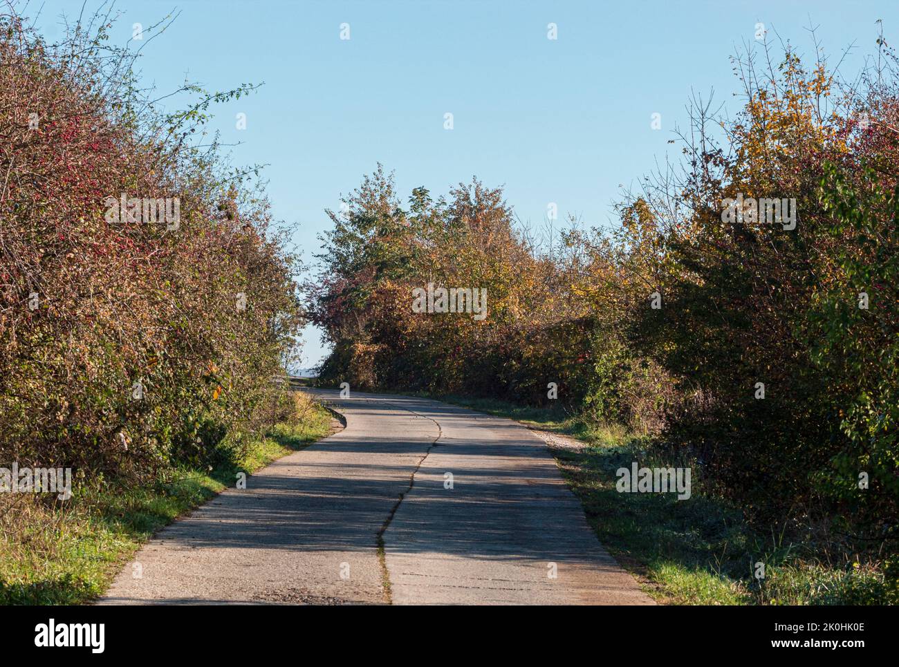 Ashot of road above the city surrounded by red bushes Stock Photo - Alamy