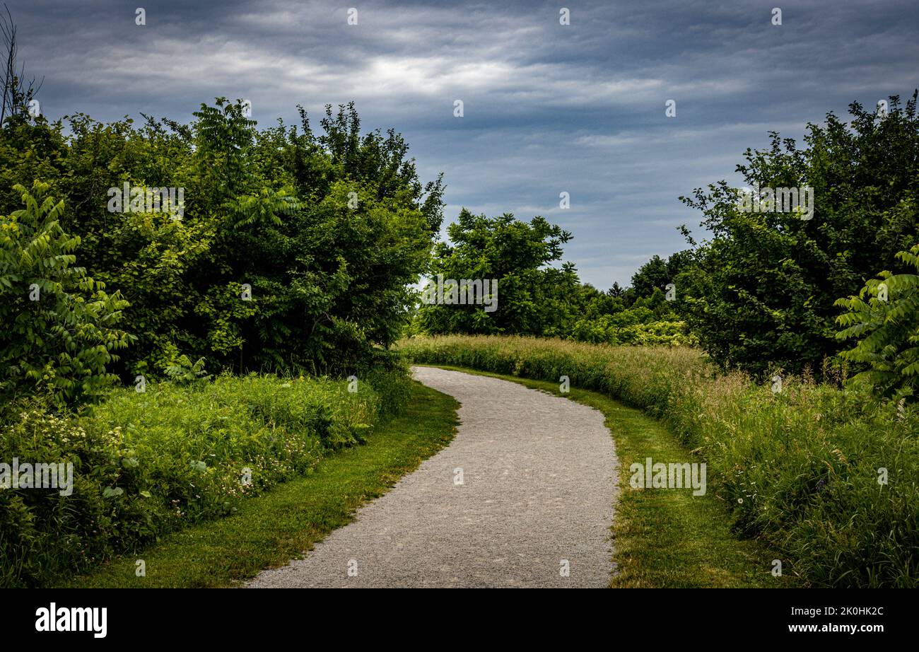 A splendid natural scenery of a pathway leading through a park Stock ...