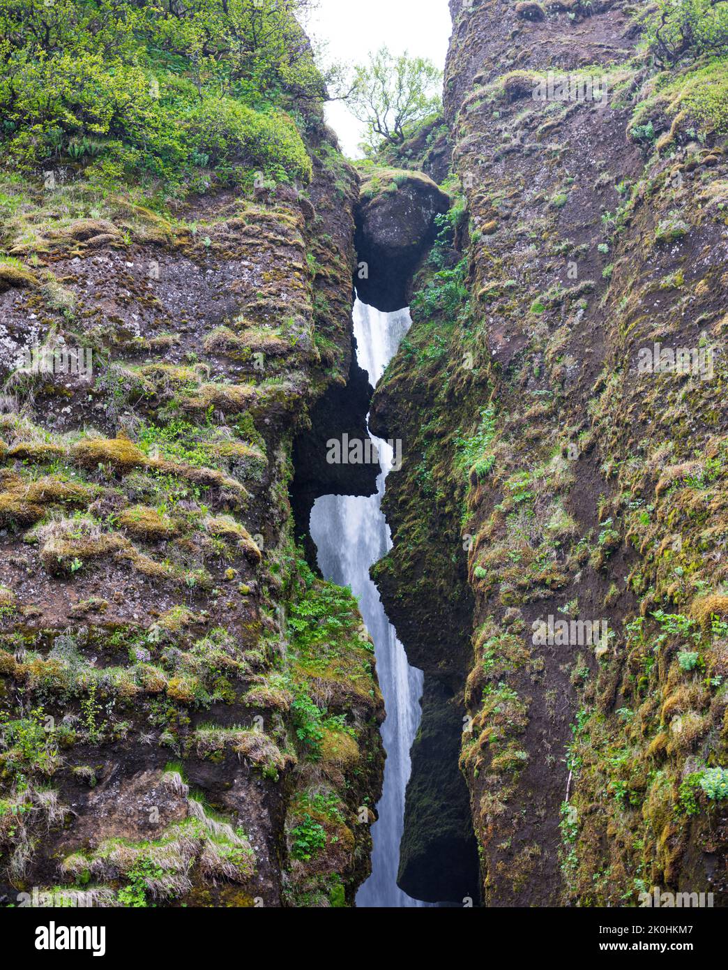 A beautiful view of huge rocks in a forest with green plants Stock ...