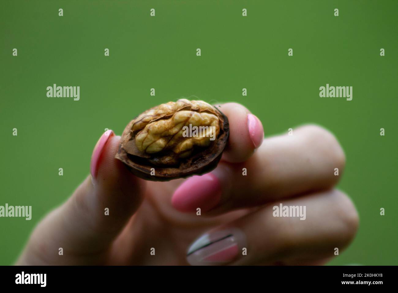 The core of a walnut broken in half Stock Photo - Alamy
