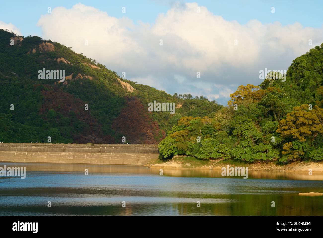 A scenic view of the mountain dense forest by the lake in Shing Mun ...