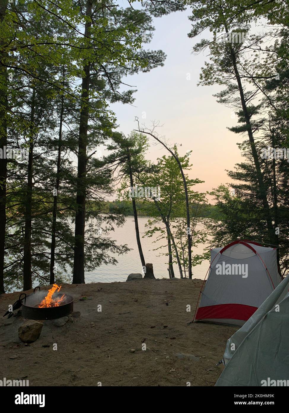 A vertical shot of camping in the forest with a bonfire, lake and sky ...
