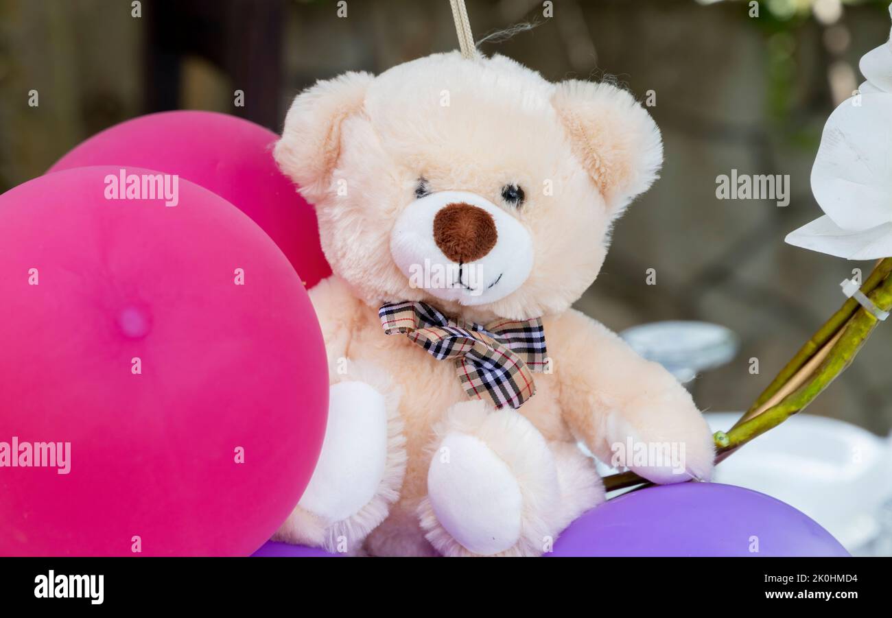 A fluffy stuffed bear toy with balloons Stock Photo - Alamy
