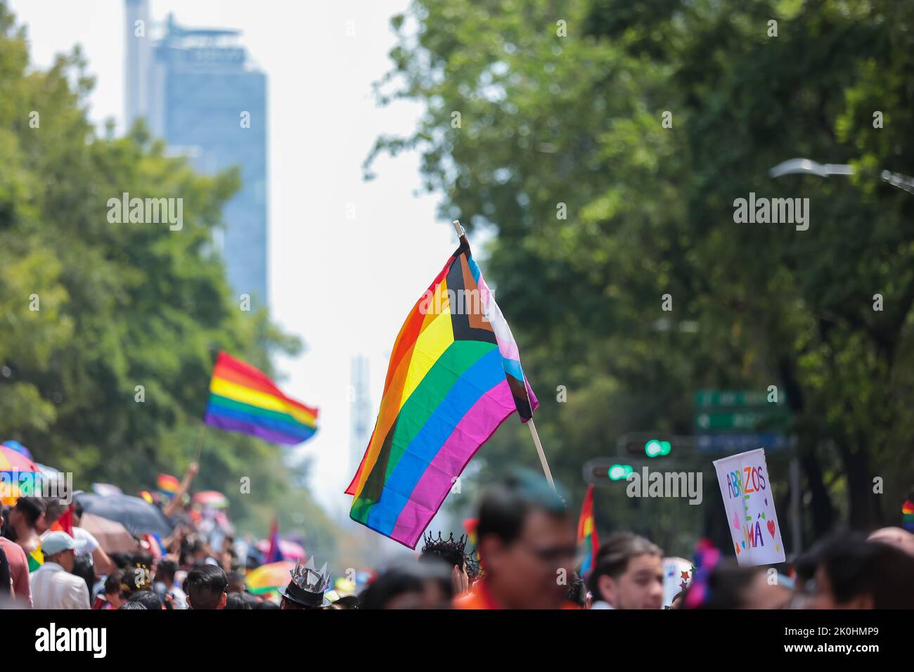 The people marching and waving rainbow flags as support on Pride day ...