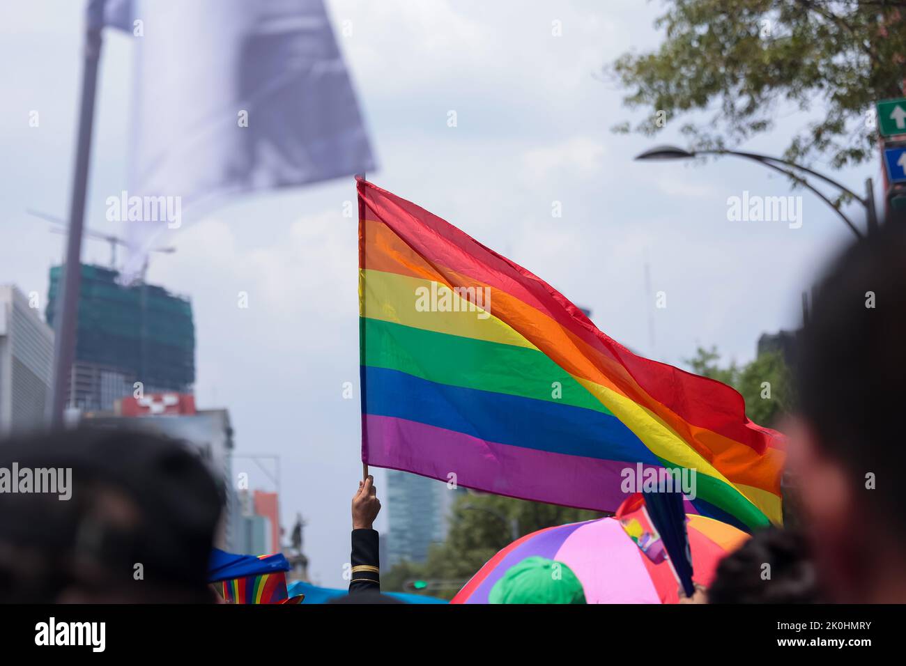 The people marching and waving rainbow flags as support on Pride day ...