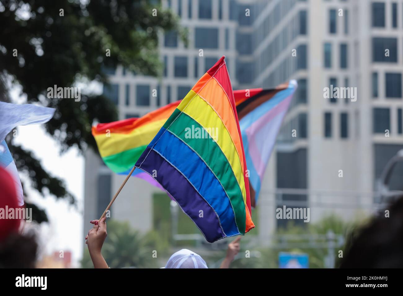 Crowd waving rainbow flags hi-res stock photography and images - Alamy
