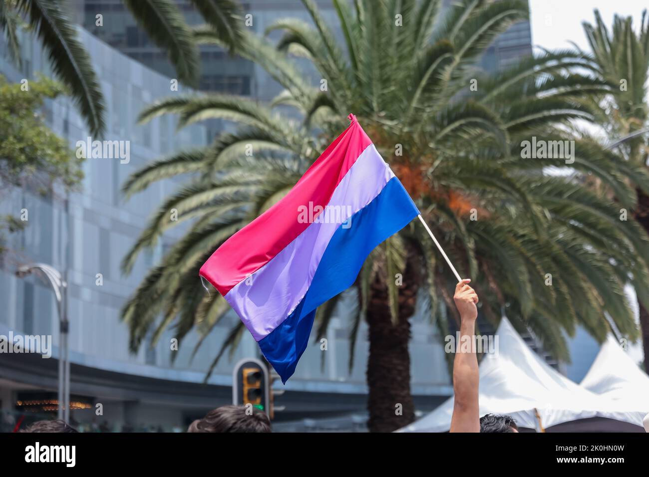 Bisexual pride day hi-res stock photography and images - Alamy