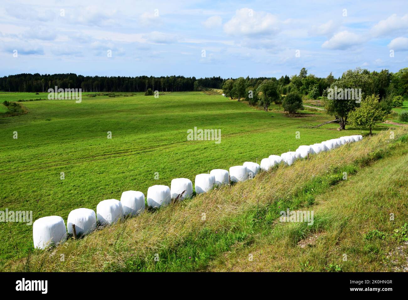 A scenic view of hay bales in a green field in the countryside under a ...