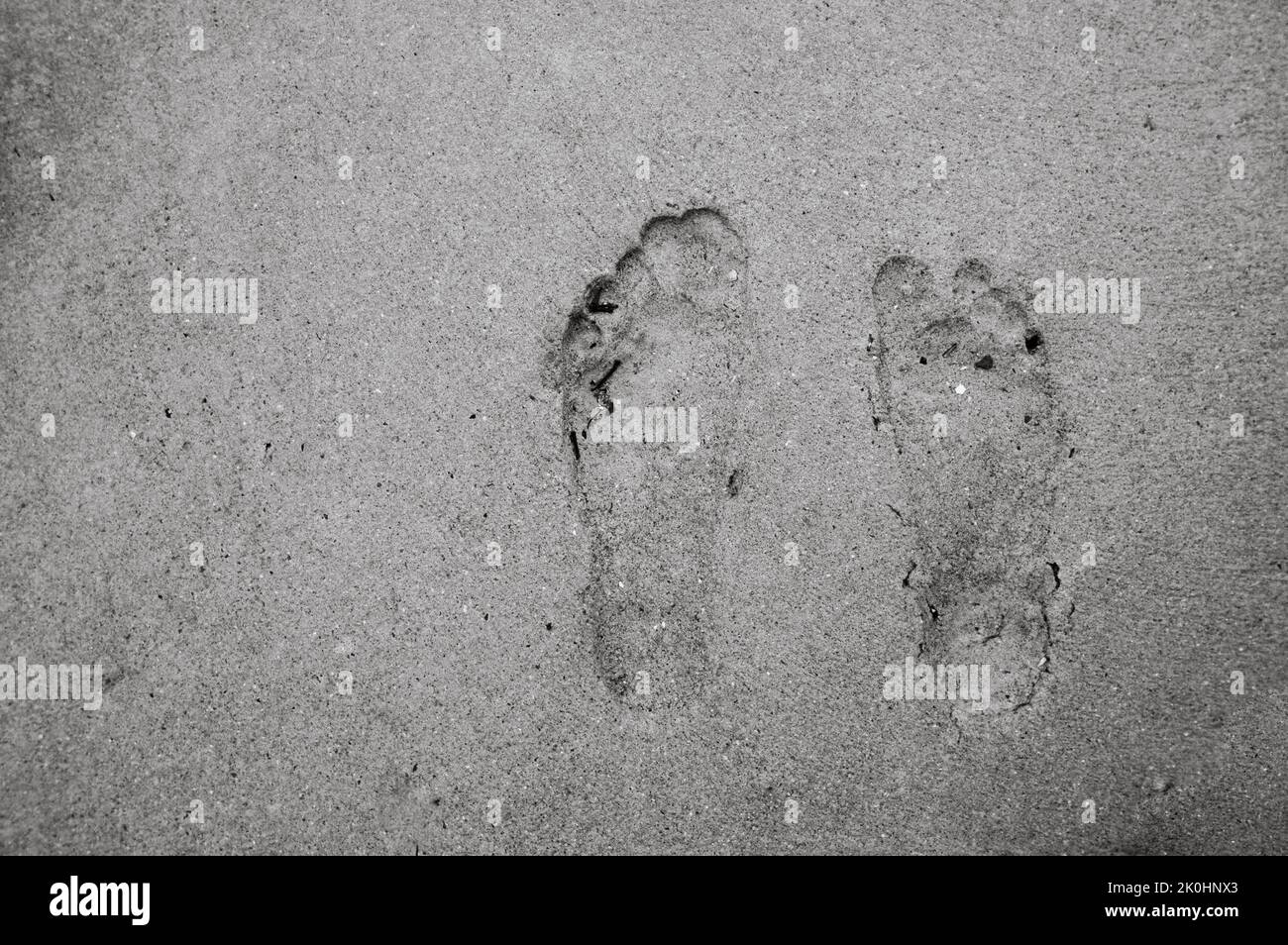 A grayscale shot of a footprint on a concrete ground Stock Photo - Alamy