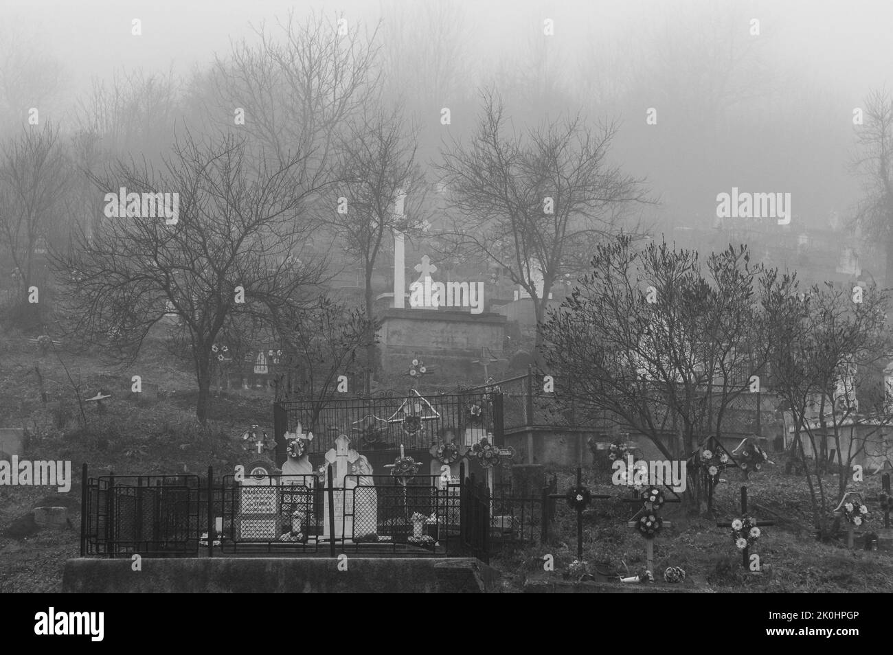 A monochrome shot of creepy cemetery with deciduous trees on a foggy ...