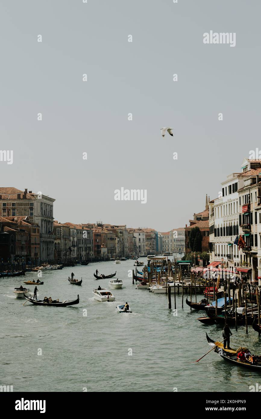 A vertical shot of gondolas sailing in the Grand Canal in Venice, Italy ...