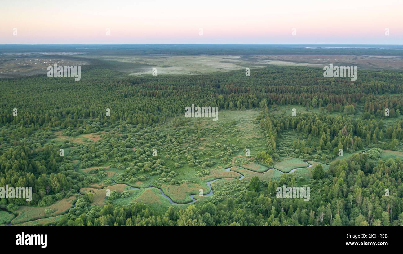 An aerial view of a wide green trees in the forest Stock Photo - Alamy
