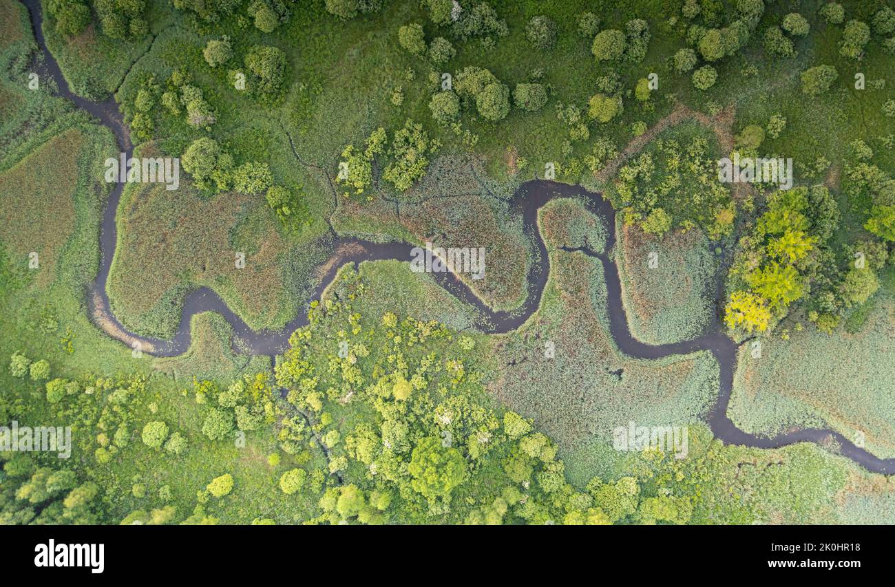 An aerial view of a curve river in the wild Stock Photo - Alamy
