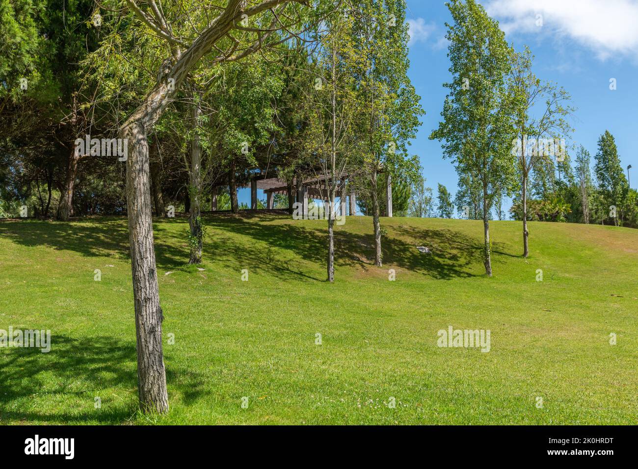 The garden of Troia covered with green trees on a sunny day, Grandola ...