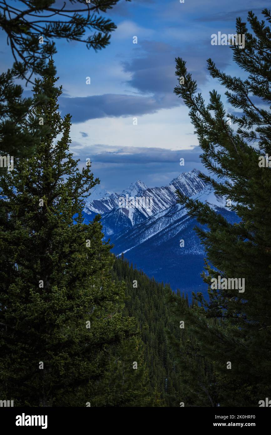 A vertical view of the rocky Mountains through the trees in Banff Stock ...