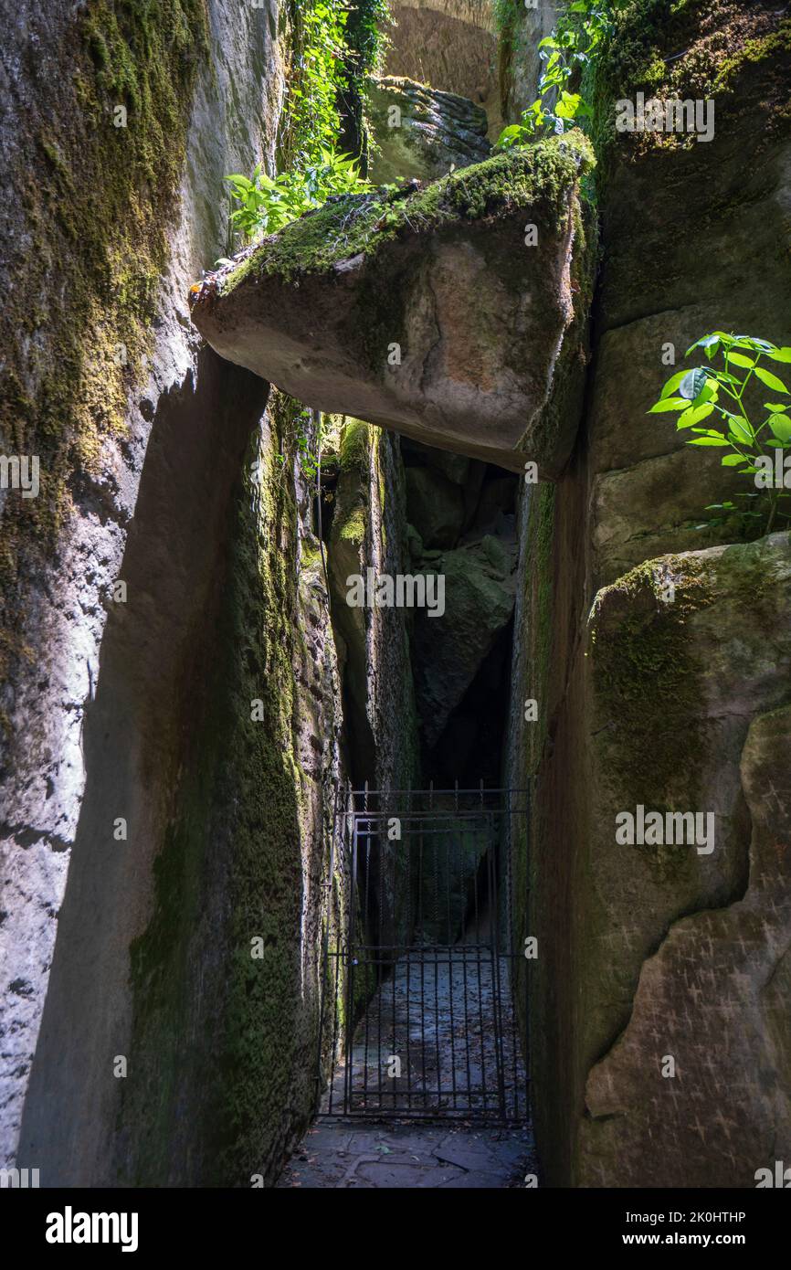 National Park of the Casentinesi Forests, Franciscan Sanctuary of ...