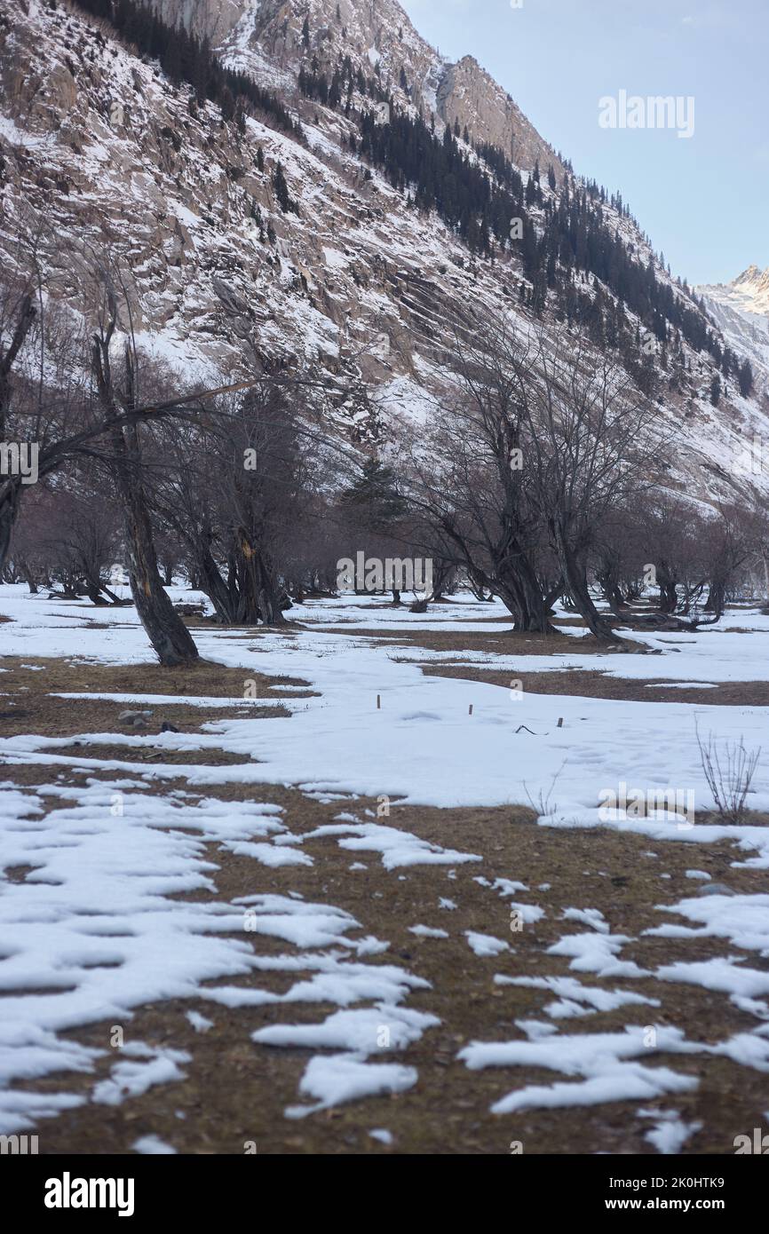 Winter in pakistan hi-res stock photography and images - Alamy
