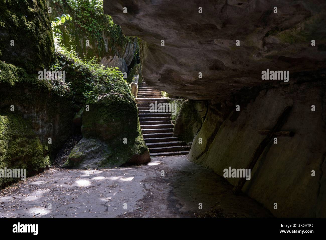 National Park of the Casentinesi Forests, Franciscan Sanctuary of ...